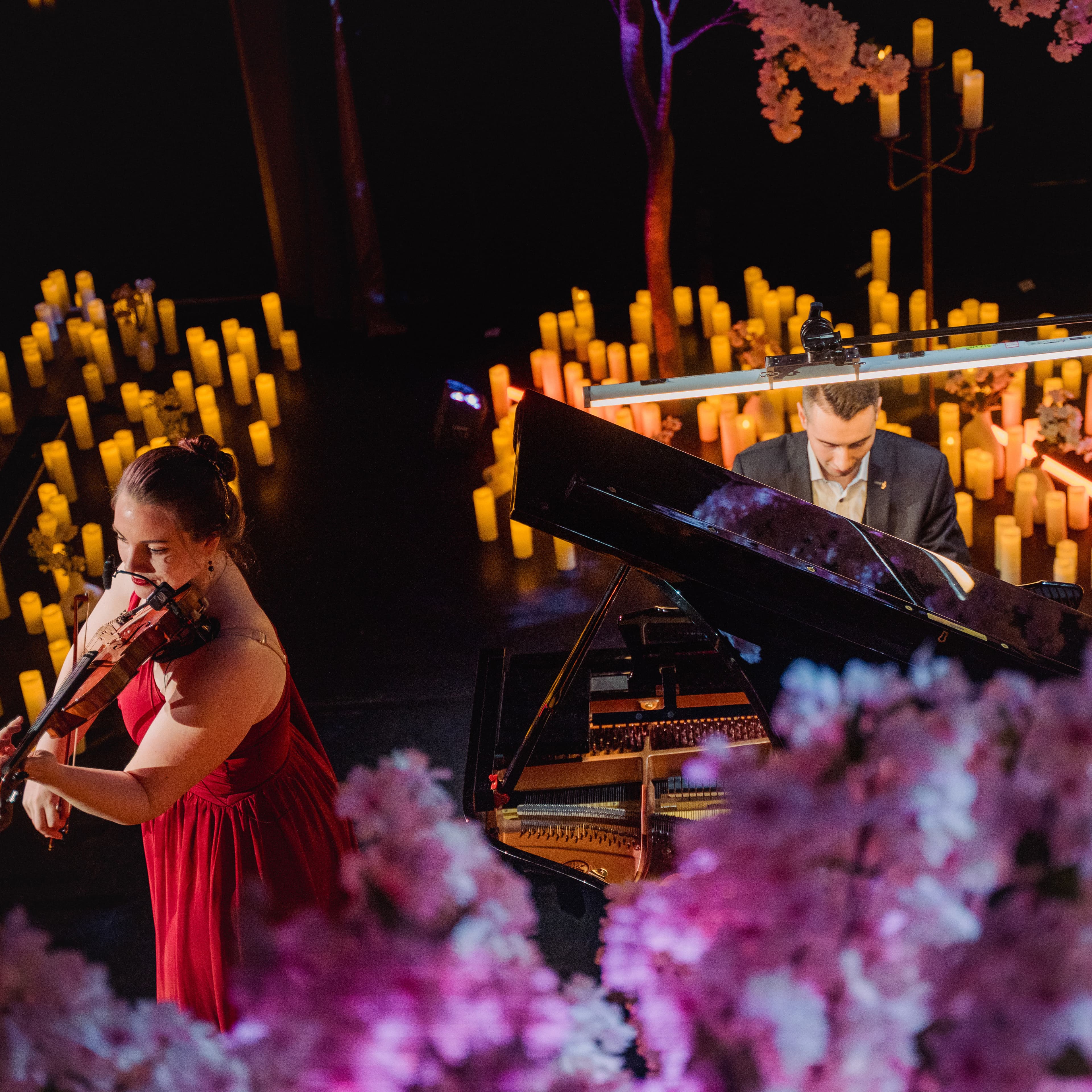 Anime Dreamlight Concert | Konzertreihen | Dreamlight Concerts